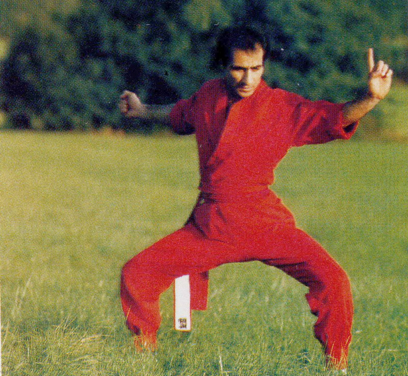 SHEN ZEN TAI-CLUB - Europe